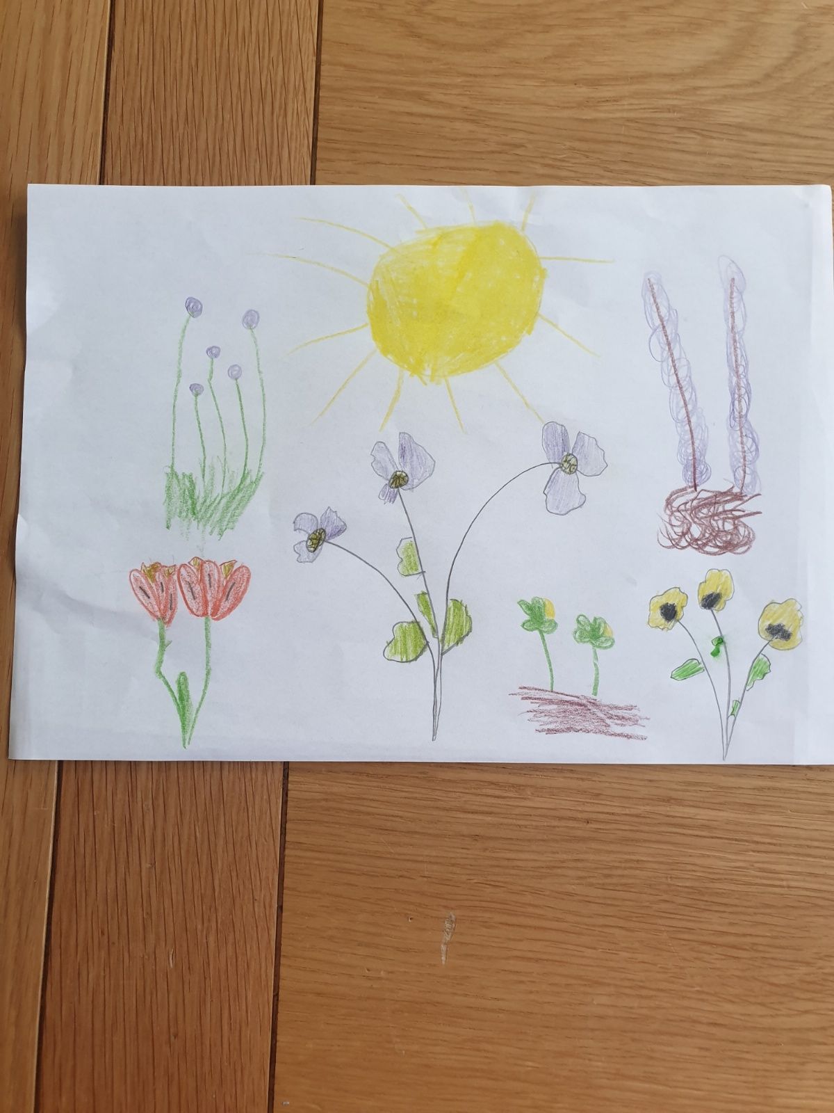 Christopher Reeves VA Primary School - Home Learning